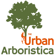 Tipuri Copaci Specii Arbori Pomi Romania - Lista Arboristica.ro